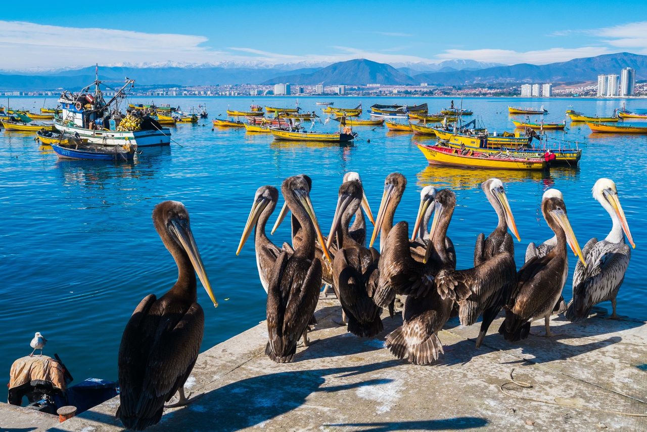 Coquimbo (La Serena), Chile, Jižní Tichý oceán, Nejlepší destinace pro ... Coquimbo (La Serena), Chile, Jižní Tichý oceán, Nejlepší destinace pro ...