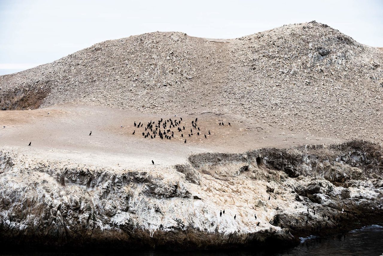 Cormorant Point, Galapágy, Ekvádor, Tichý oceán, Nejlepší destinace pro ...